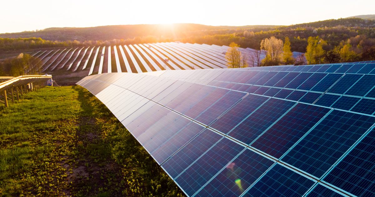 Jaki jest koszt budowy farmy PV? | PEF - Polska Energia Fotowoltaniczna